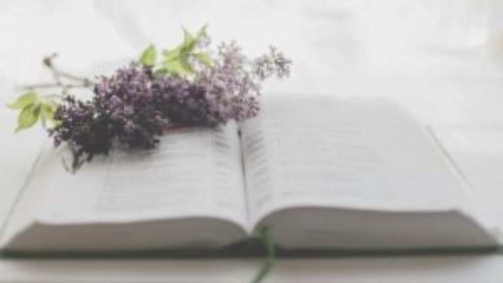 Welcome – Steeped in Mindfulness